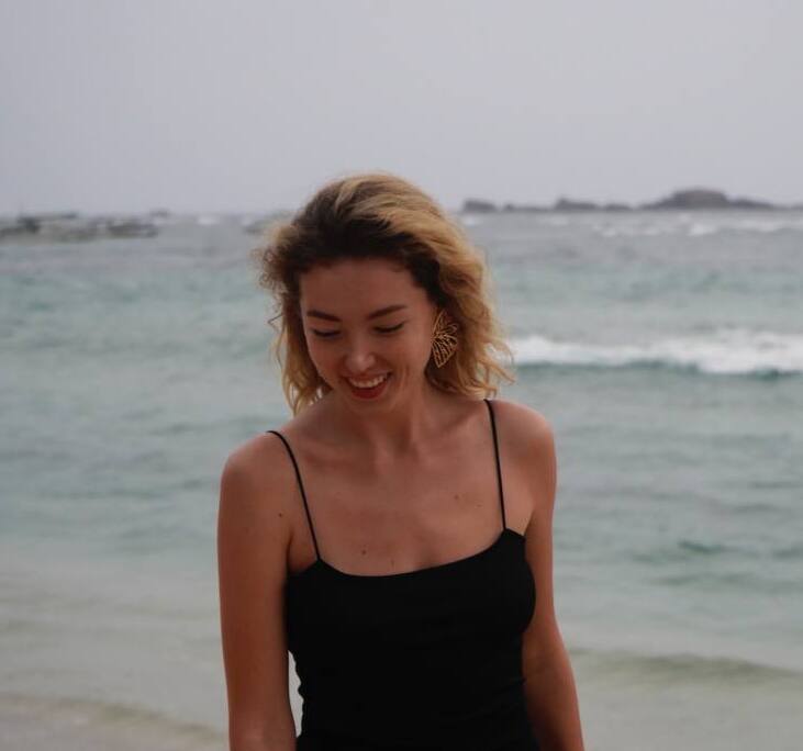 Brad Traversy | Web Developer